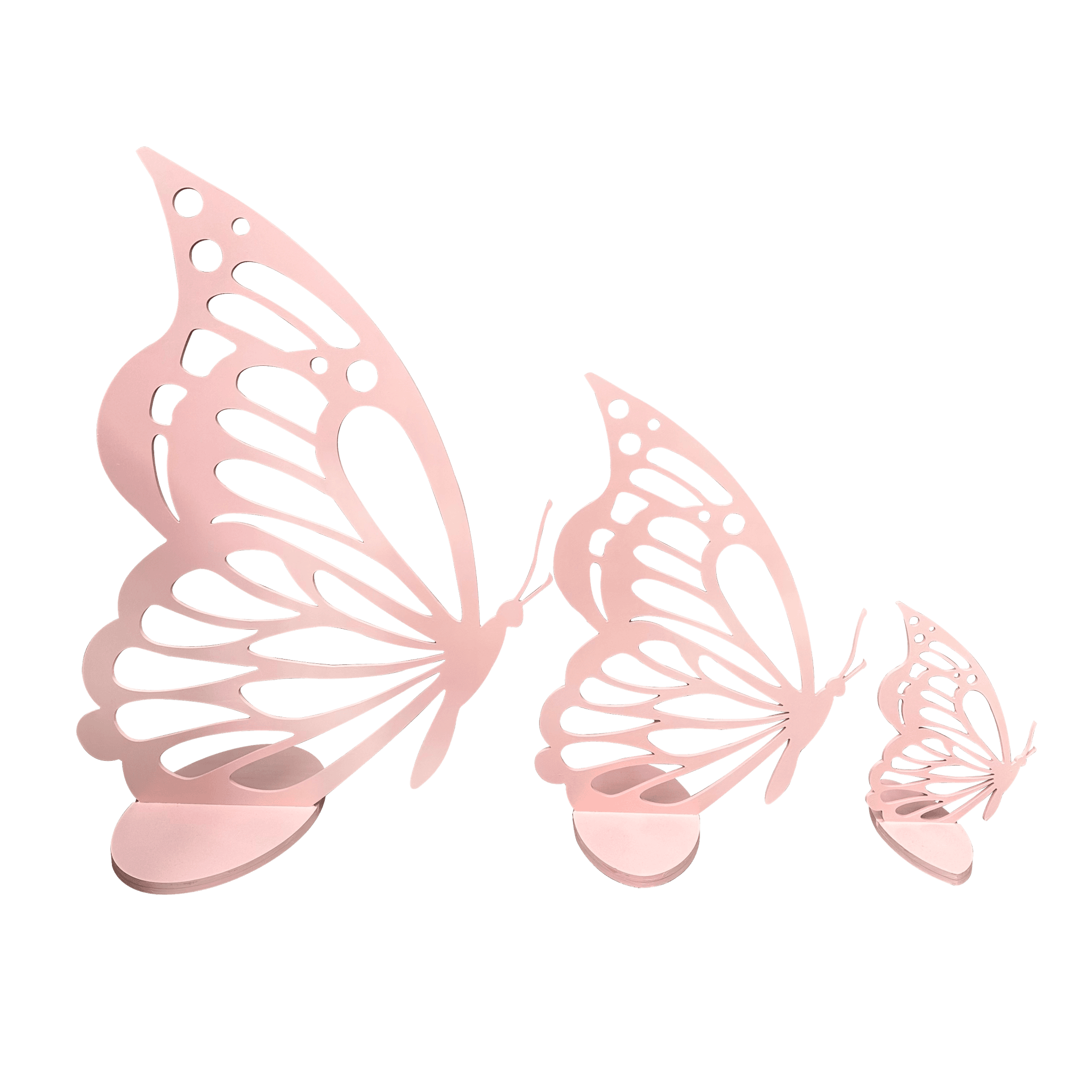 Butterfly Backdrop | For Hire Melbourne